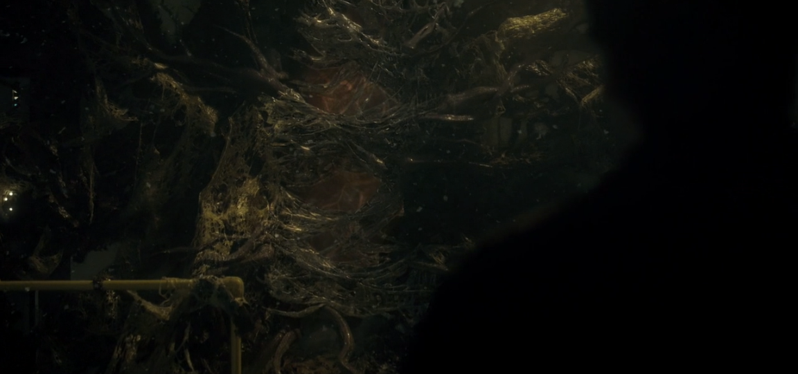 Stranger Things – Season 1: “Chapter Five – The Flea and the Acrobat ...