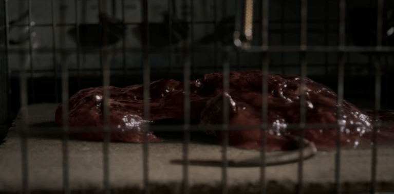 Stranger Things— Season 3: “Chapter Two – The Mall Rats” – Father Son ...