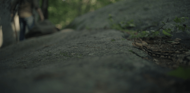 The Outsider – Episode 9: “Tigers and Bears” – Father Son Holy Gore