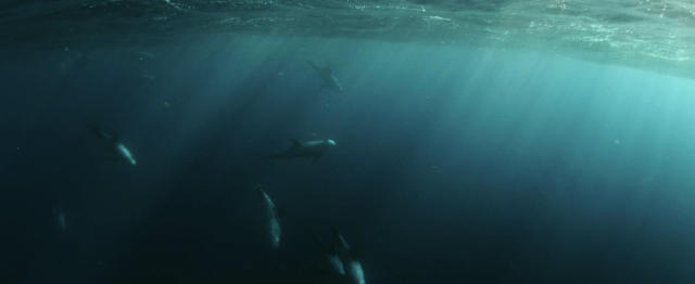 Sea Myth, Social Distancing, & Superstition: SEA FEVER’s Accidental ...