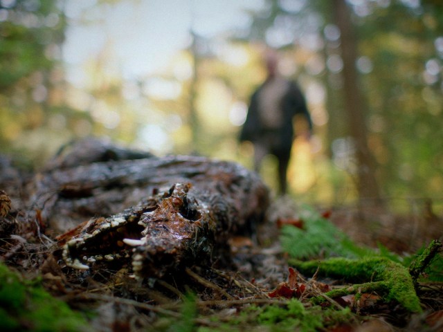 IN A VIOLENT NATURE: Revenge in the Name of Mother Nature – Father Son ...