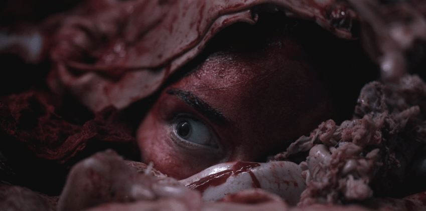 “Every Animal Deserves Love”: Politics & Cruelty in MEAT KILLS – Father ...